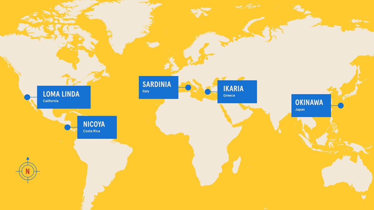 Blue Zones Map Zones (World War Z) | Zombiepedia | Fandom