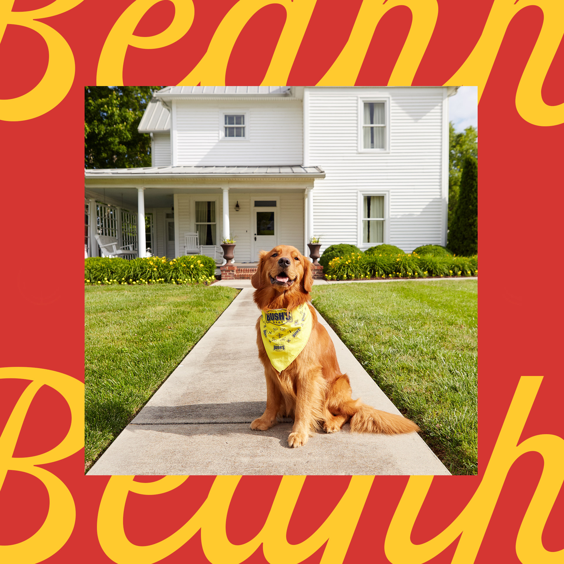Bush's Beans Website Homepage | BUSH’S® Beans