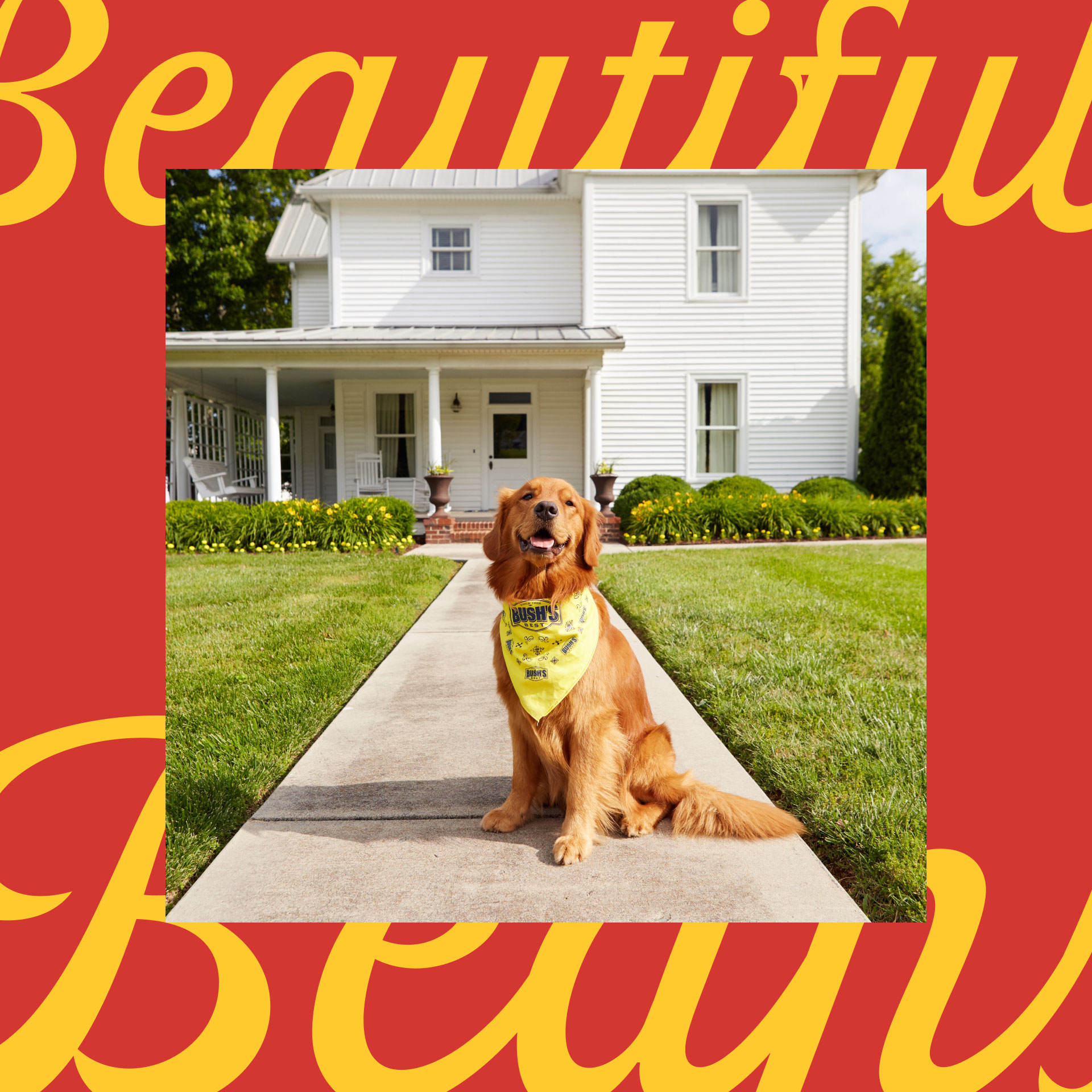 Bush's Beans Website Homepage | BUSH’S® Beans